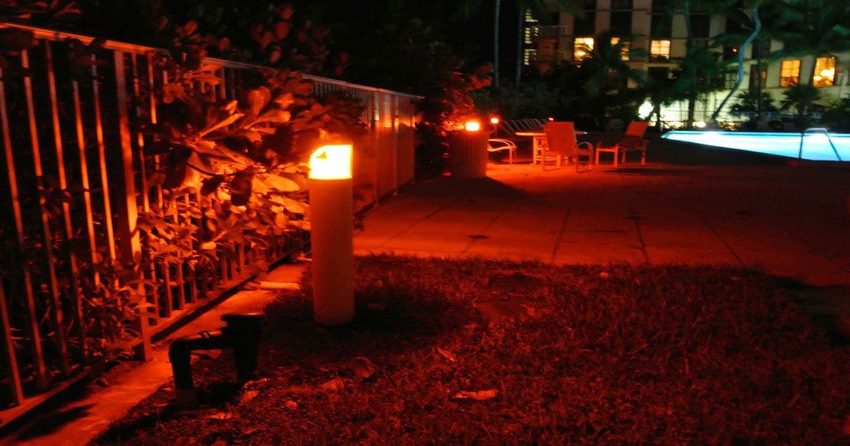 Wildlife Lighting - Wildlife Friendly LED Lights