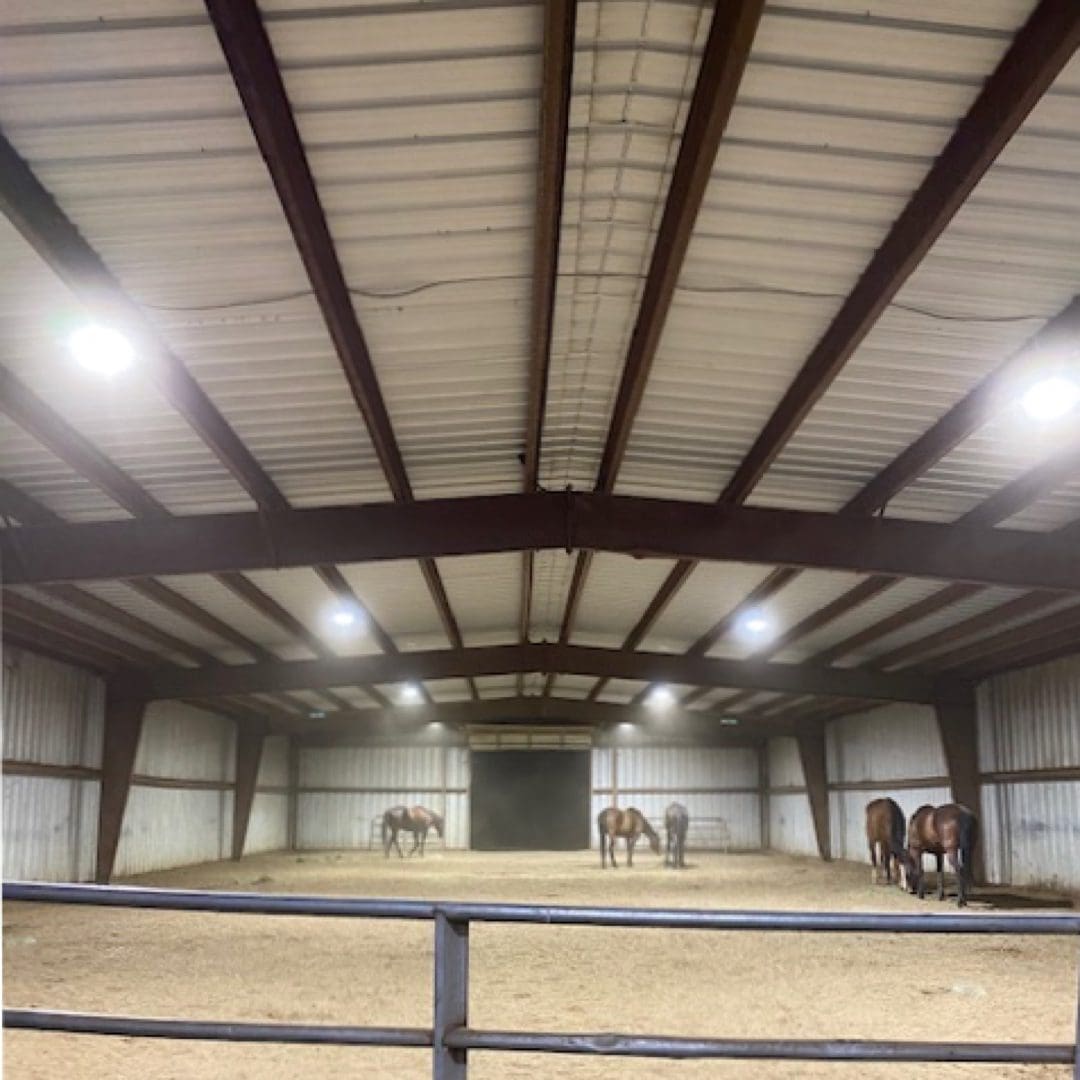 Indoor Horse Arena Lighting Design: How Do You Light It?