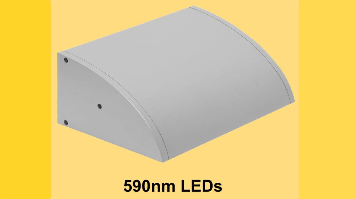 20w 590nm Amber LED Sea Turtle Friendly Full Cutoff Wall Pack