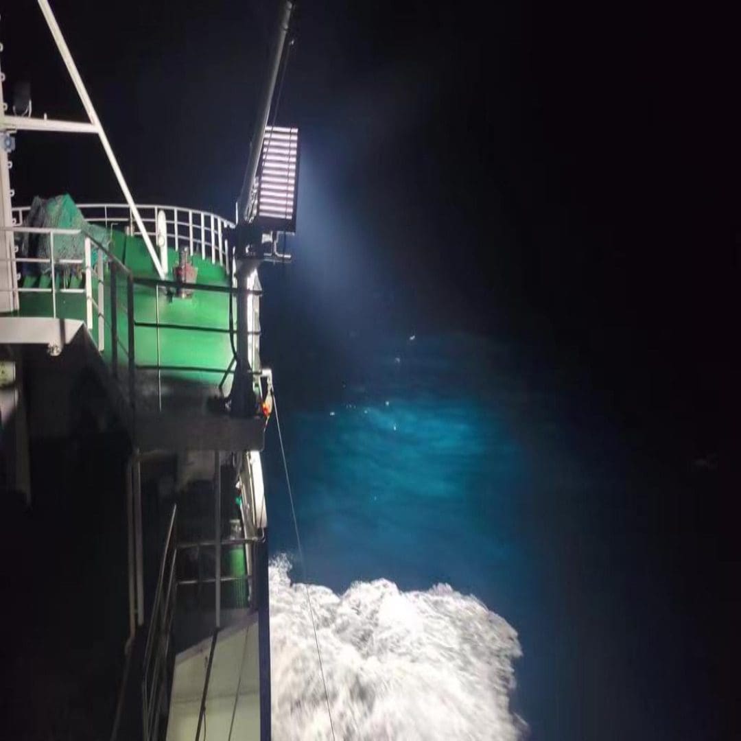 Marine Grade Lighting: For Coastal and Corrosive Environments